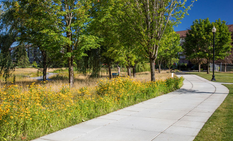 Nature & Play | Columbia Tech Center